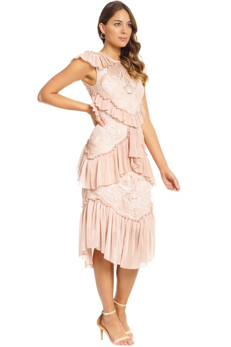 Sweet Emotions Dress in Rose by Alice McCall for Rent